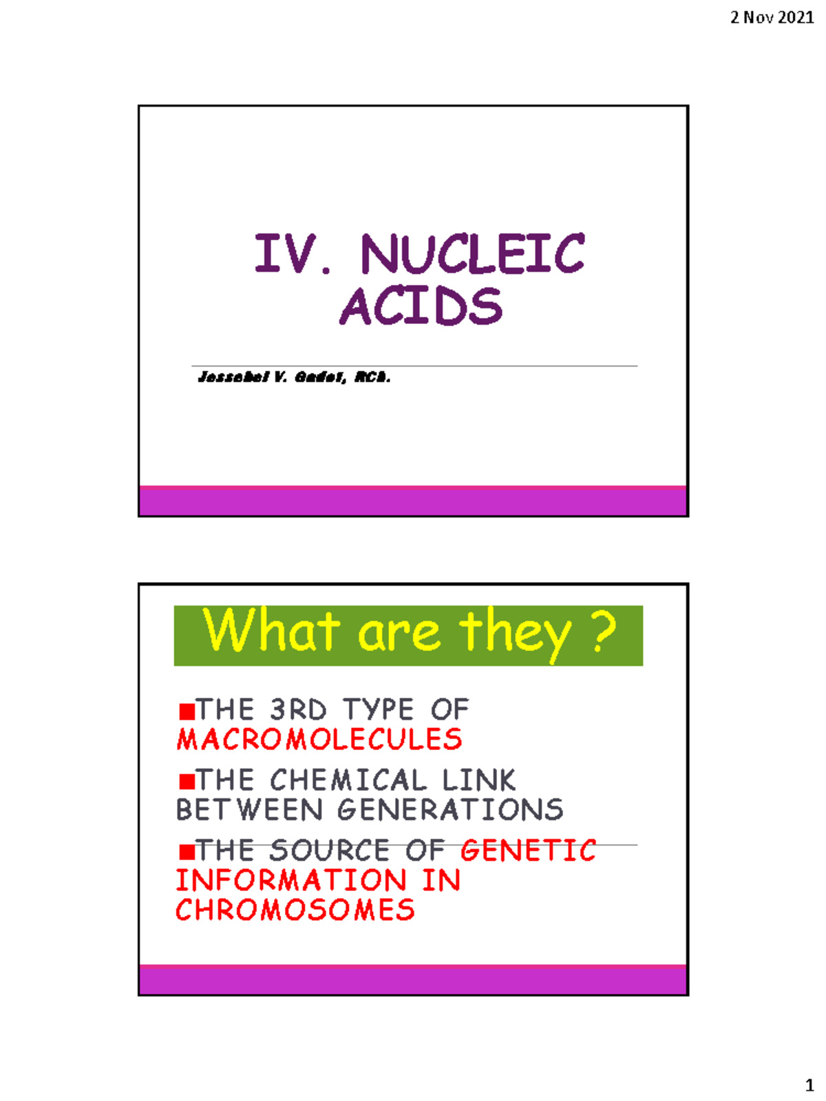 IV. Nucleic Acids - ... - IV. NUCLEIC ACIDS J e s s e b e l V. G a d o ...