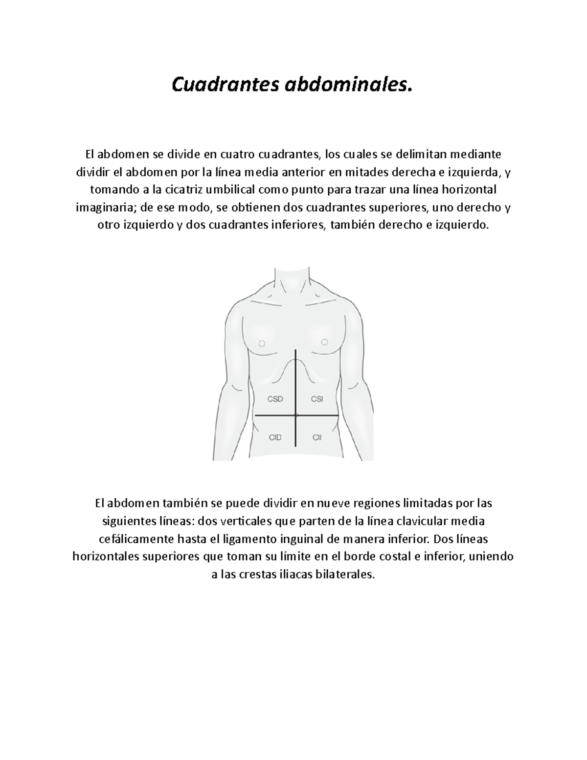 Cuadrantes abdominales - El abdomen se divide en cuatro cuadrantes, los ...