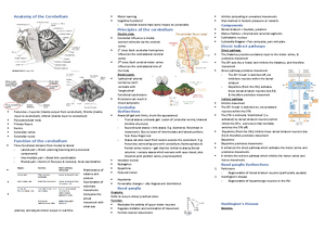 Understanding DM -Type 2 - Understanding diabetes Glucose Insulin ...