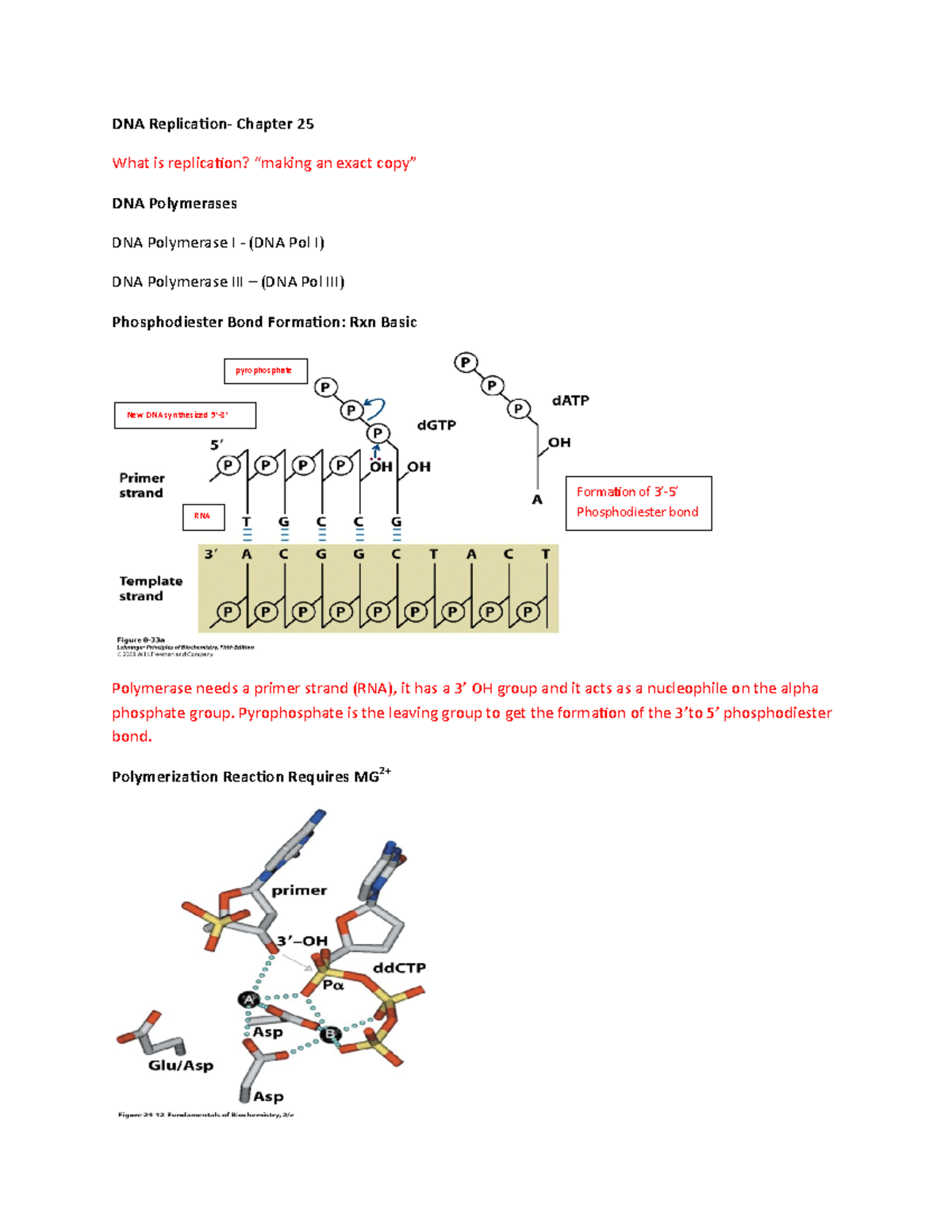 DNA Replication Chapter 25 - Pyrophosphate is the leaving group to get ...