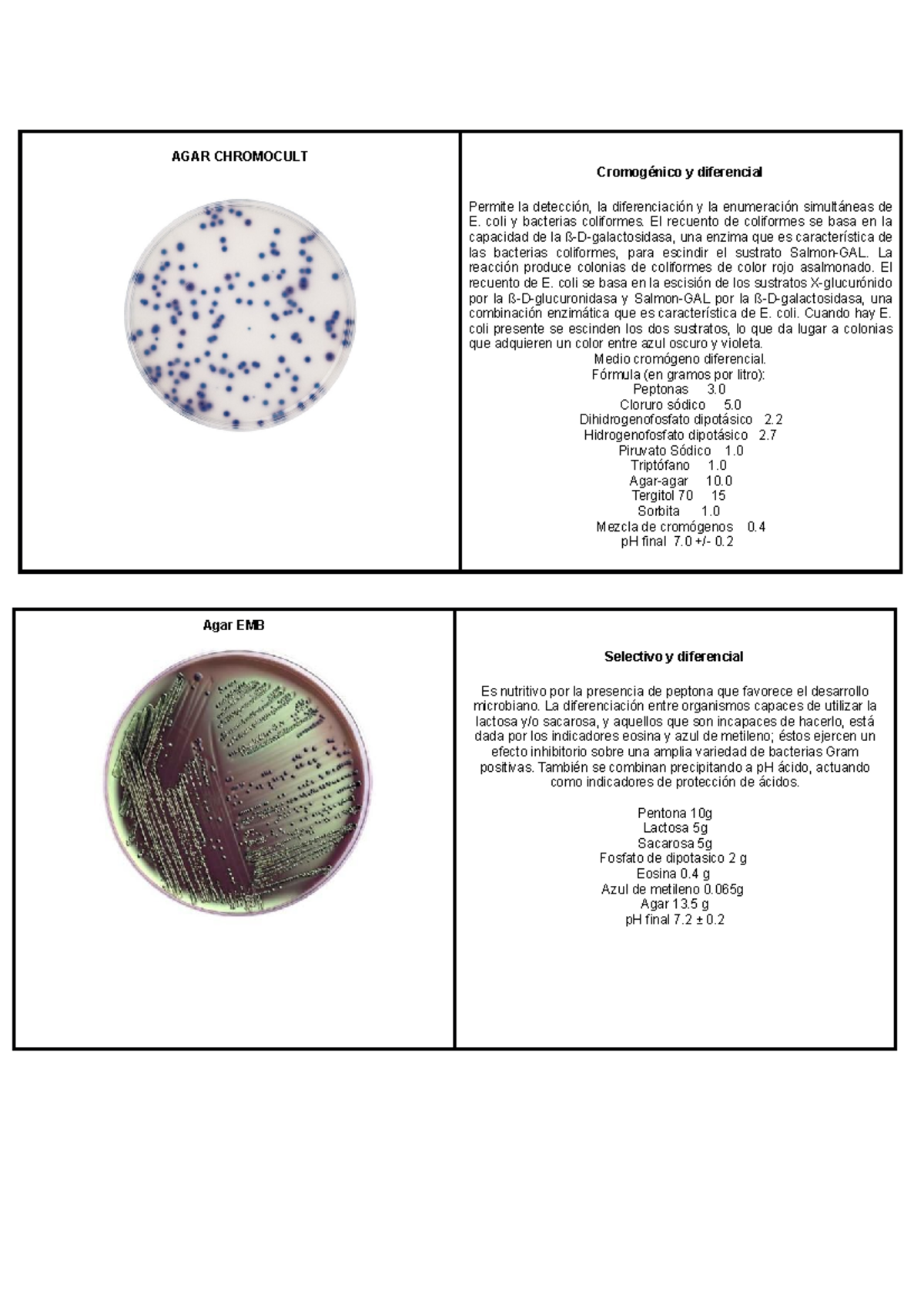 Memorama de medios de cultivos - AGAR CHROMOCULT Cromogénico y ...