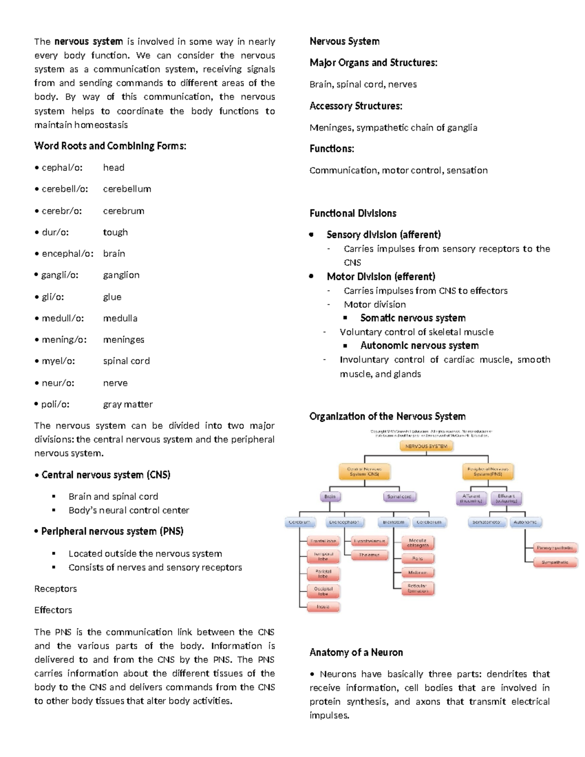 Midterm Lesson 6- Nervous System - The nervous system is involved in ...