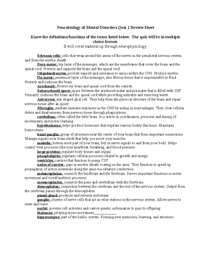 Neuroanatomy and Physiology Crossword Homework 2 - PSY 397 - Studocu
