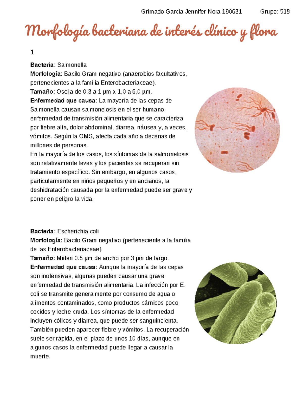 Morfología bacteriana de interés clínico y flora - Bacteria: Salmonella ...