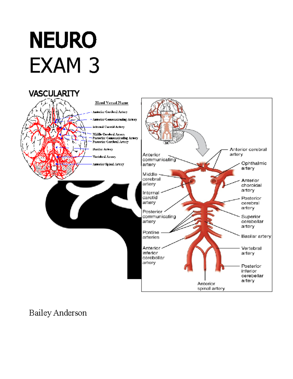 Neuro Exam 3 - Exam notes - PT 701 - Studocu