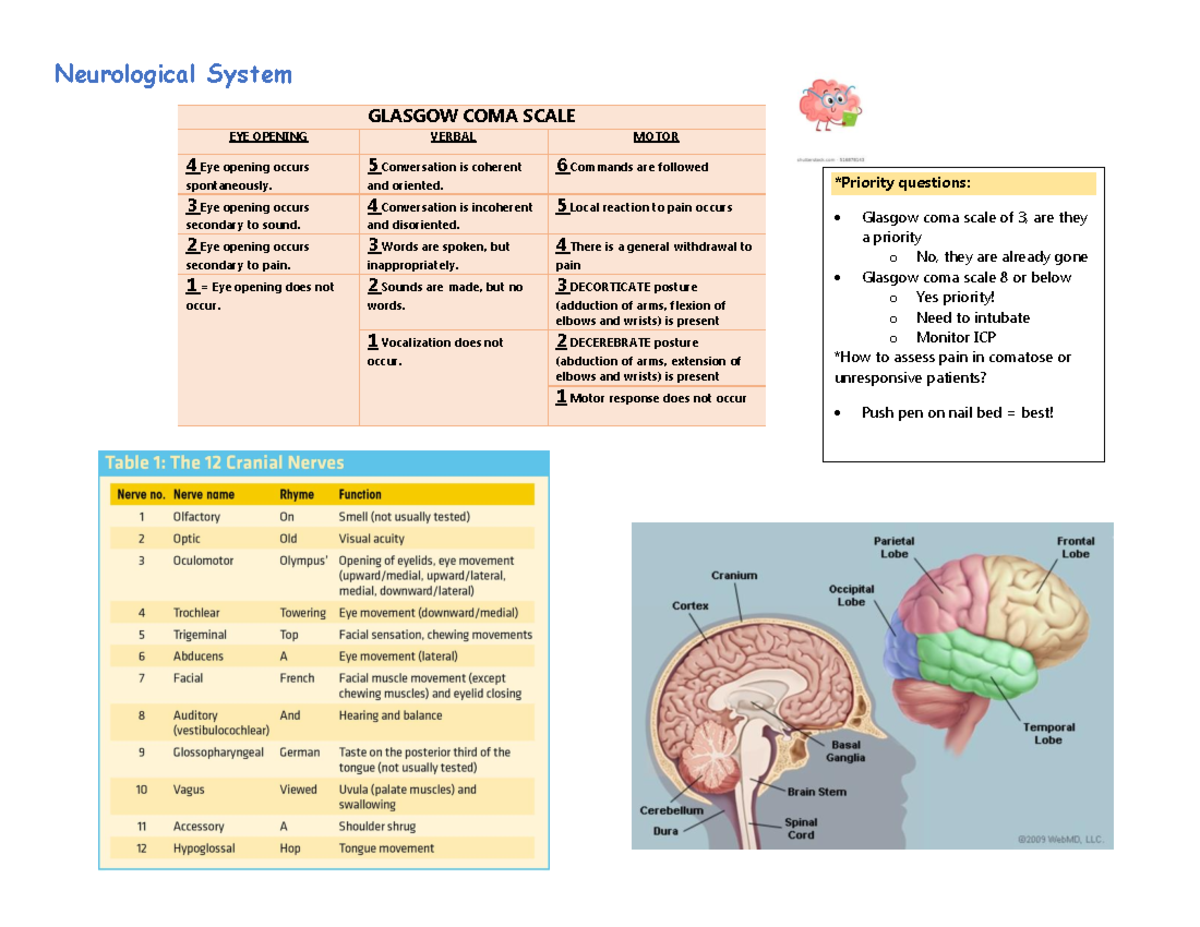 Advanced med Surgical. Neuro lecture - Neurological System GLASGOW COMA ...