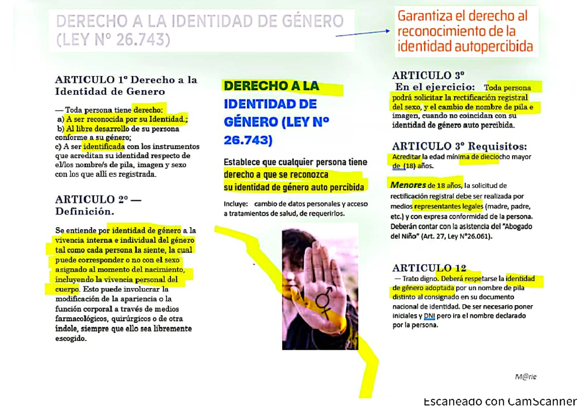 Ley de Genero - Resumen sociedad y estado - Studocu