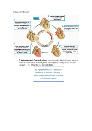 Somestesia - Anotaçoes de aula - Somestesia 07\06\ Somestesia: Ter a ...
