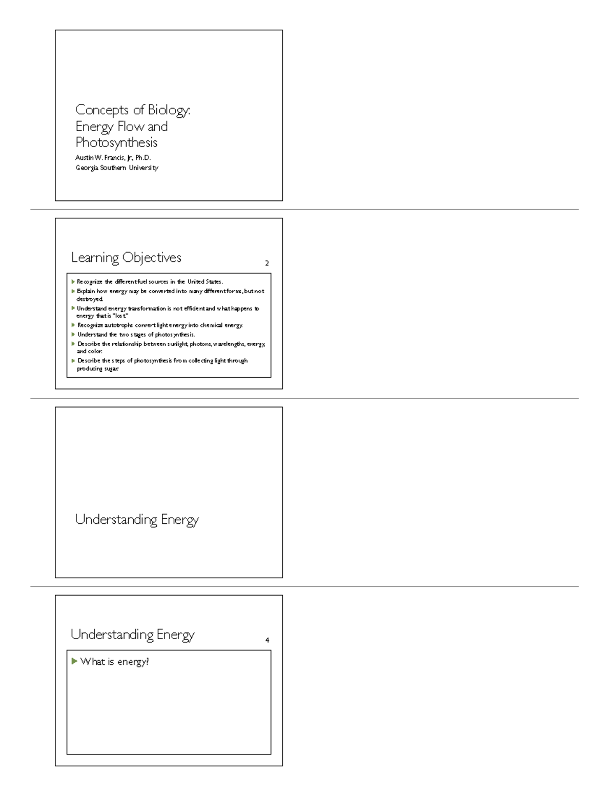 06 Energy Flow and Photosynthesis Handout - Concepts of Biology: Energy ...