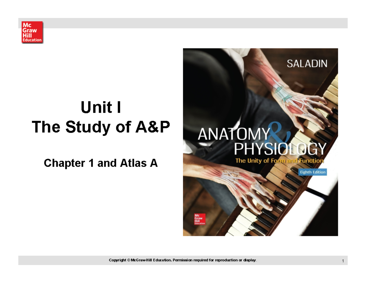 386840082 A P I Unit I Powerpoint - 1 Unit I The Study of A&P Chapter 1 ...