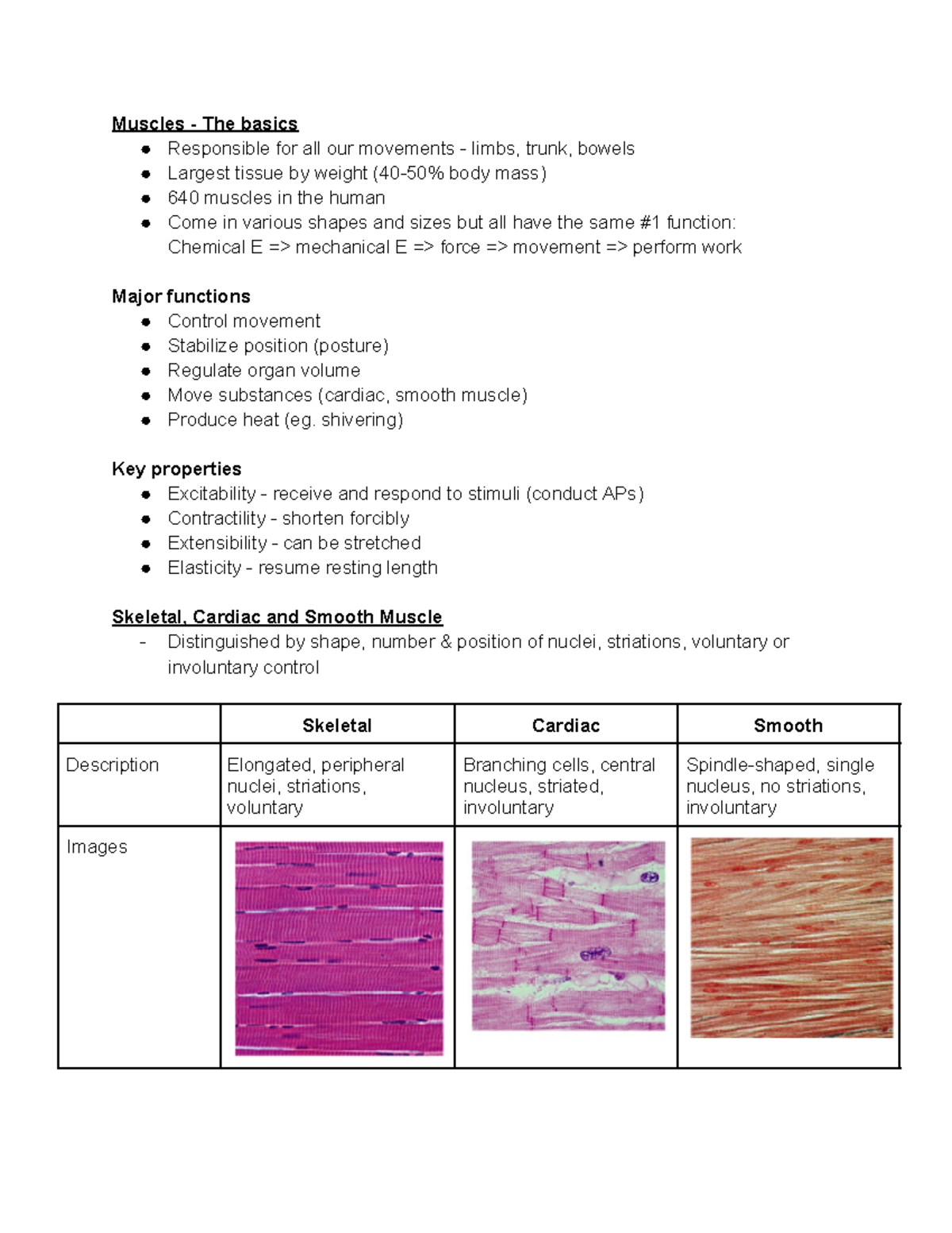 7 - Skeletal Muscle - Lecture notes - Muscles - The basics Responsible ...
