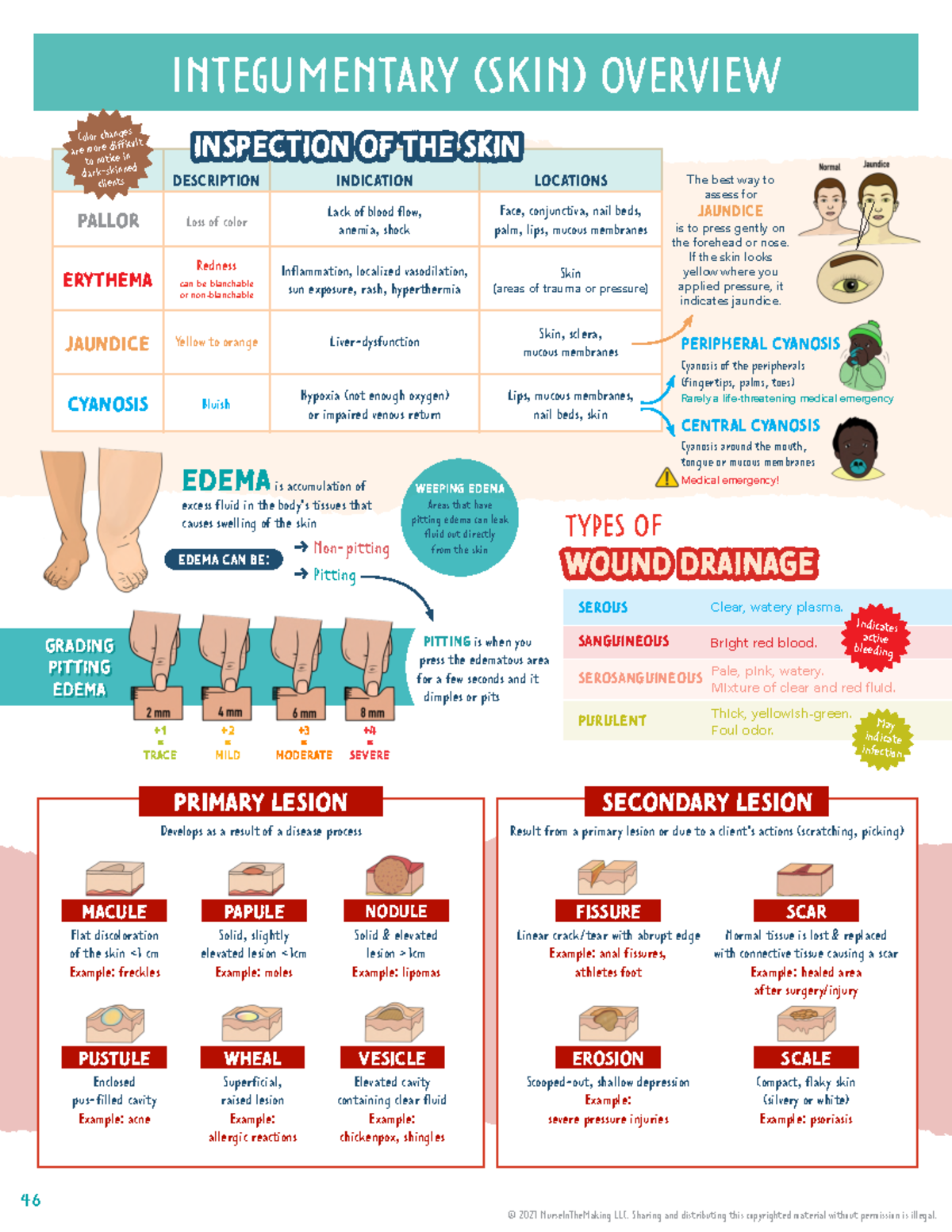Nursing School Book (dragged) 30 - WHEAL Superficial, raised lesion ...