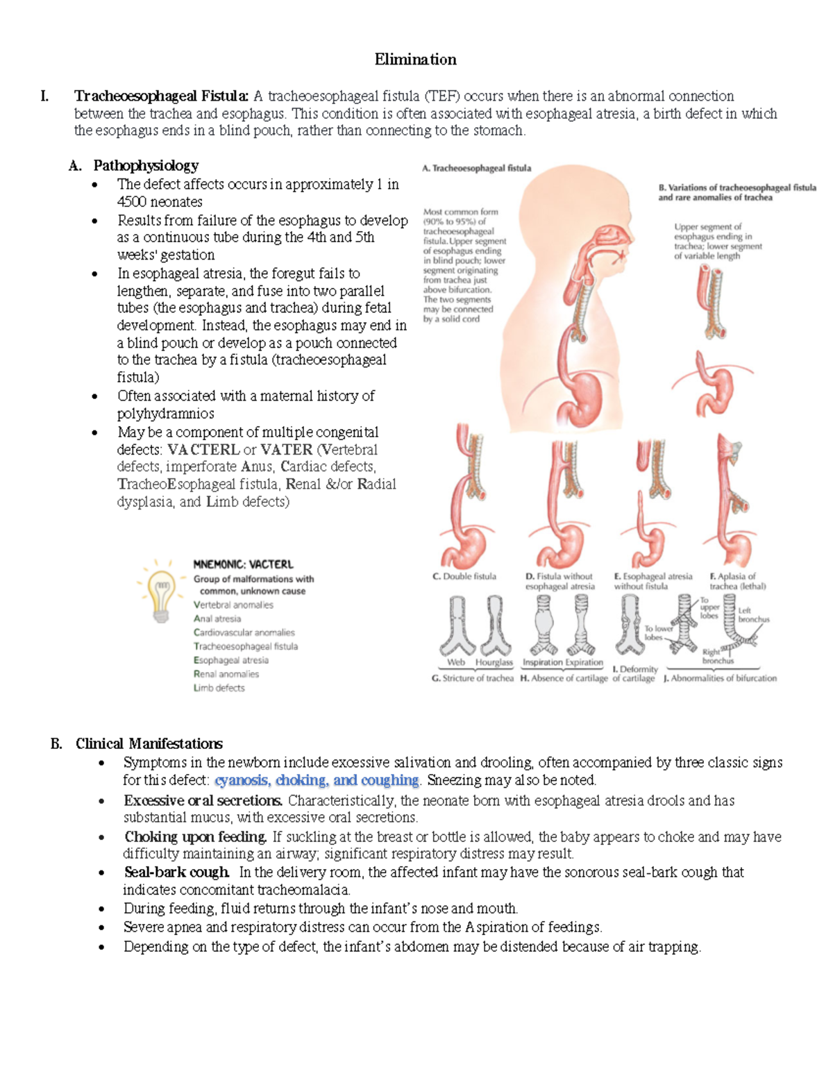Elimination - Tracheoesophageal Fistula: A tracheoesophageal fistula ...