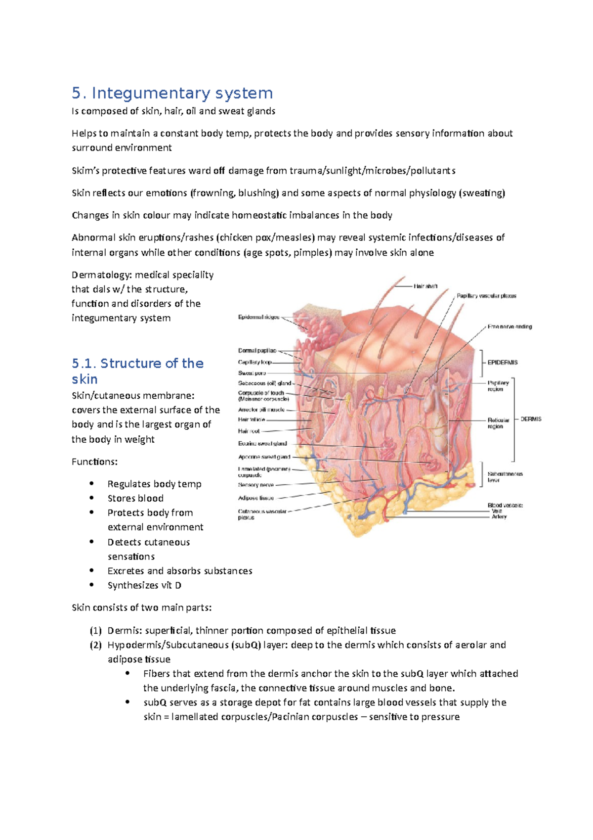 Chapter 5 - Lecture notes 15-20 - 5. Integumentary system Is composed ...