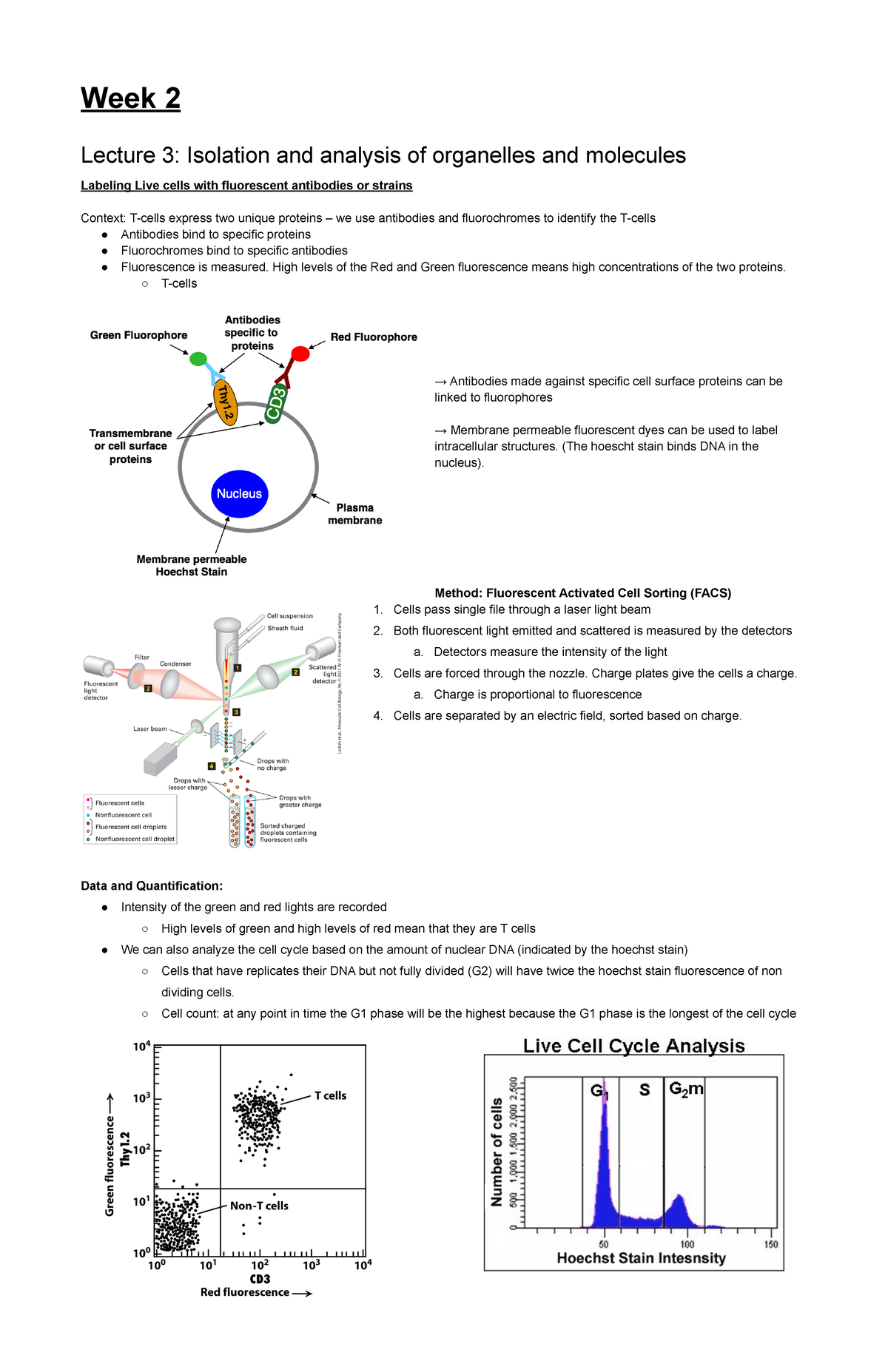 Week 2 - Week 2 Summary Notes. - Week 2 Lecture 3: Isolation and ...
