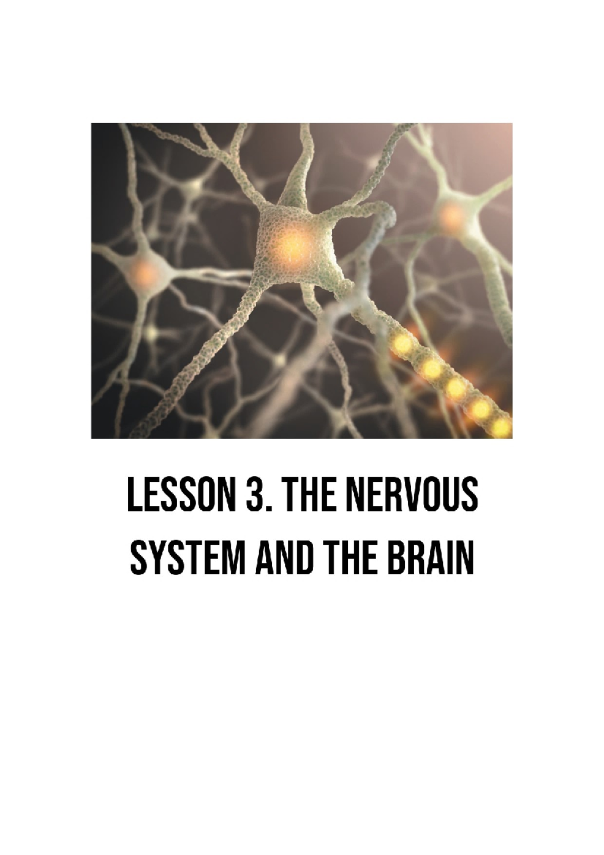 Lesson 3. The Nervous System and the Brain - Psychology - Studocu