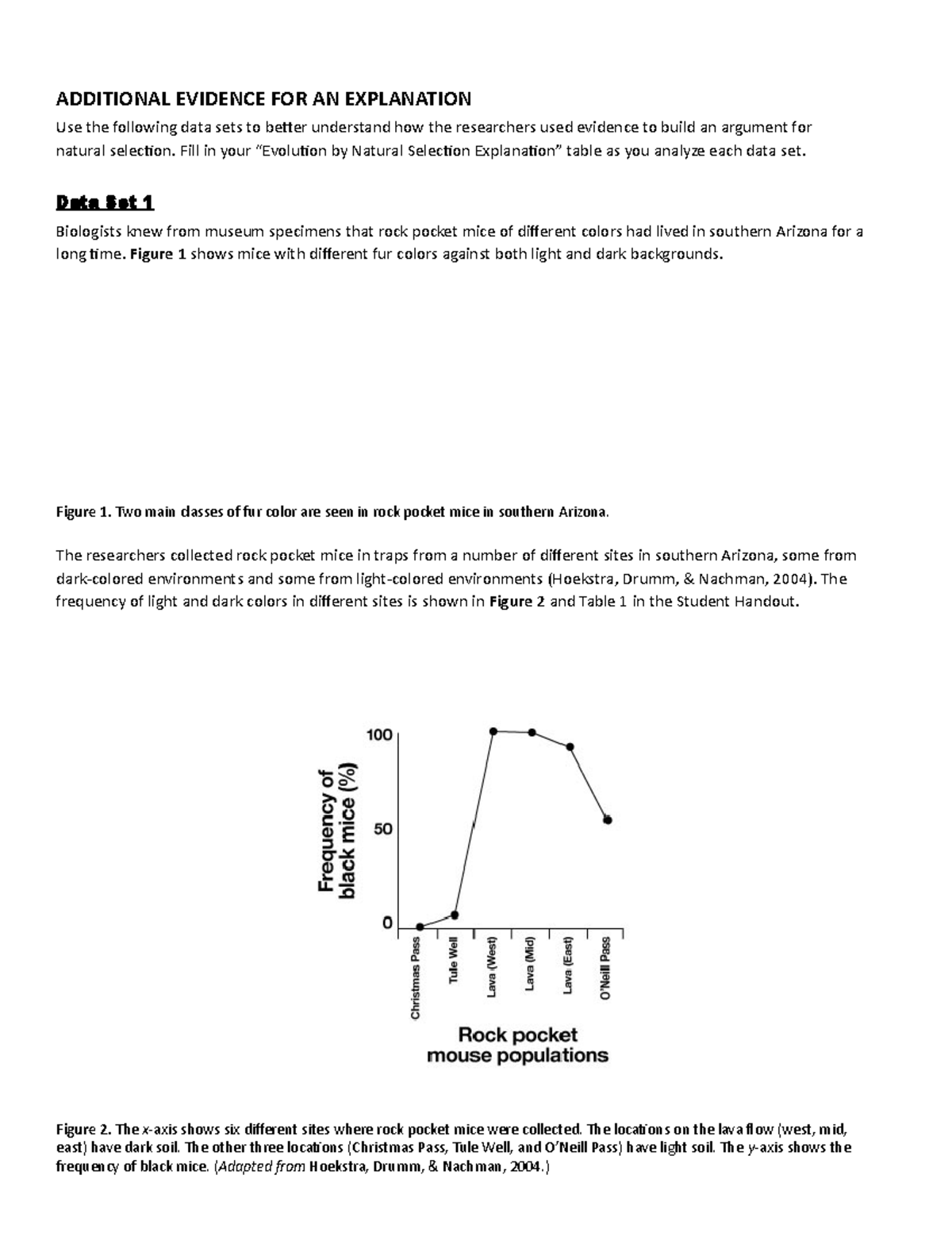 03. SR Additional Evidence For An Explanation - post to GCR ...