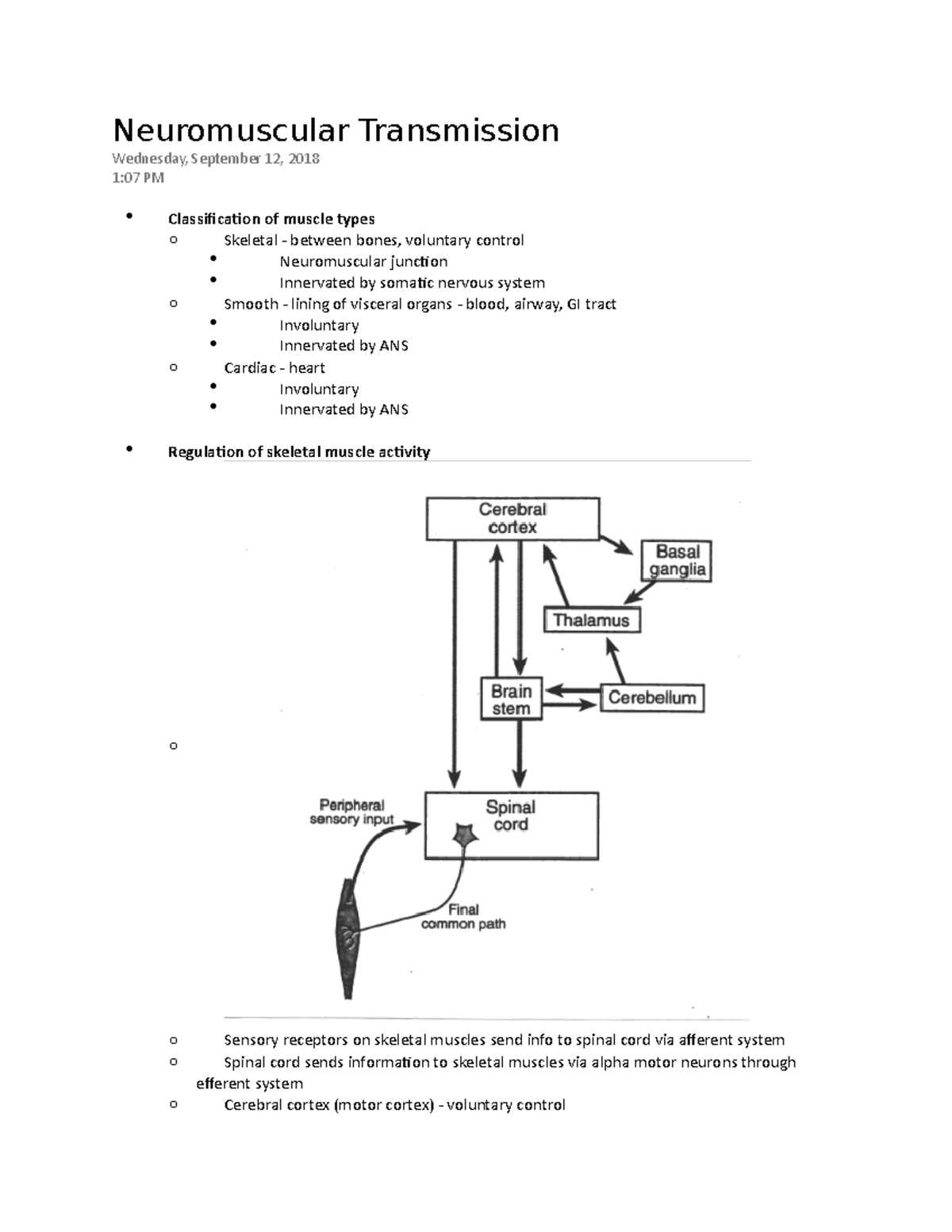 Neuromuscular Transmission - Neuromuscular Transmission Wednesday ...