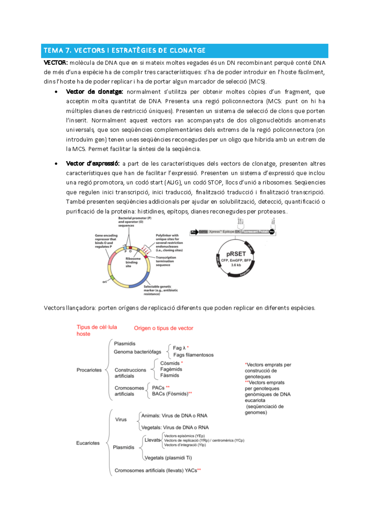 TEMA 7. Vectors procariotes i eucariotes - TEMA 7. VECTORS I ...