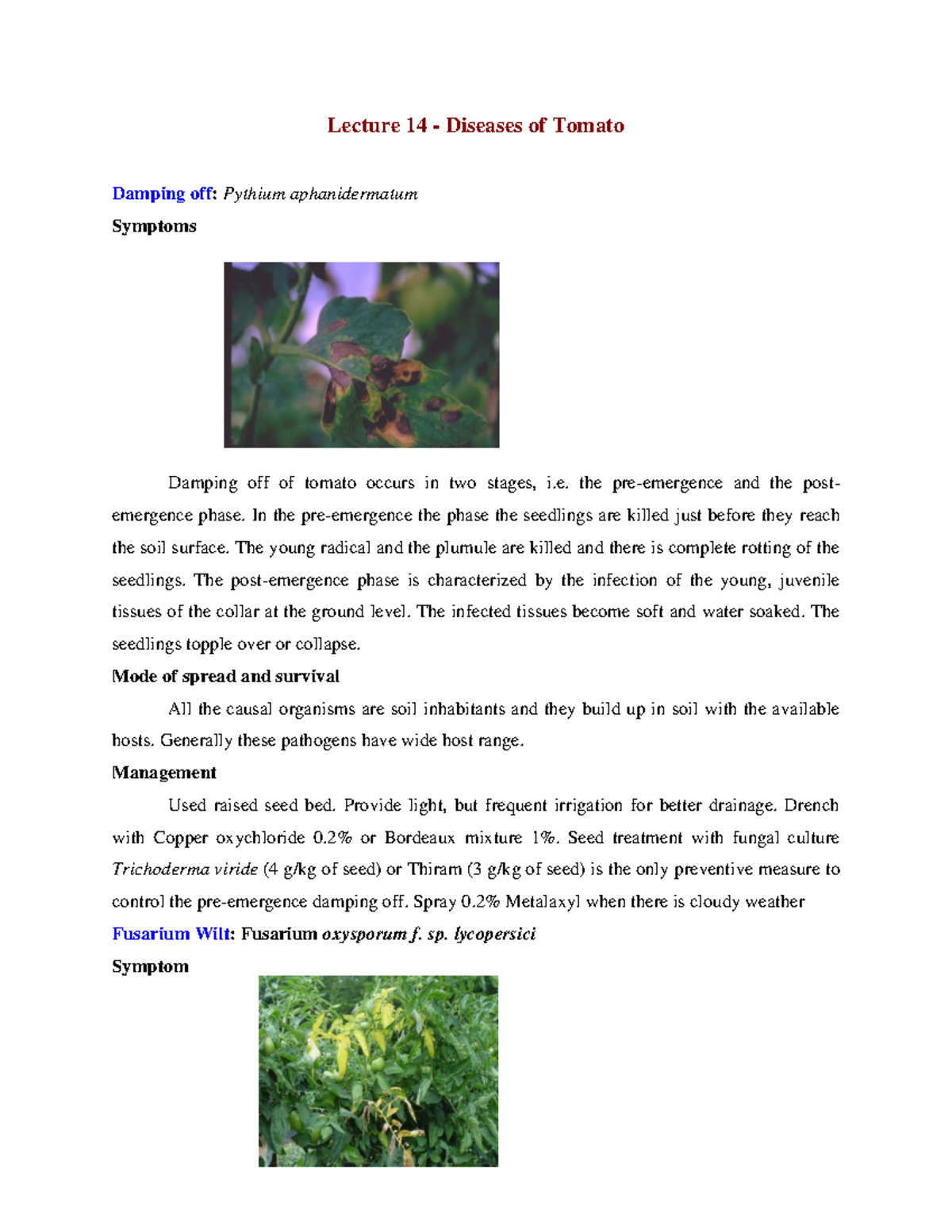 Lec14 - Disease of coconut - Lecture 14 - Diseases of Tomato Damping ...