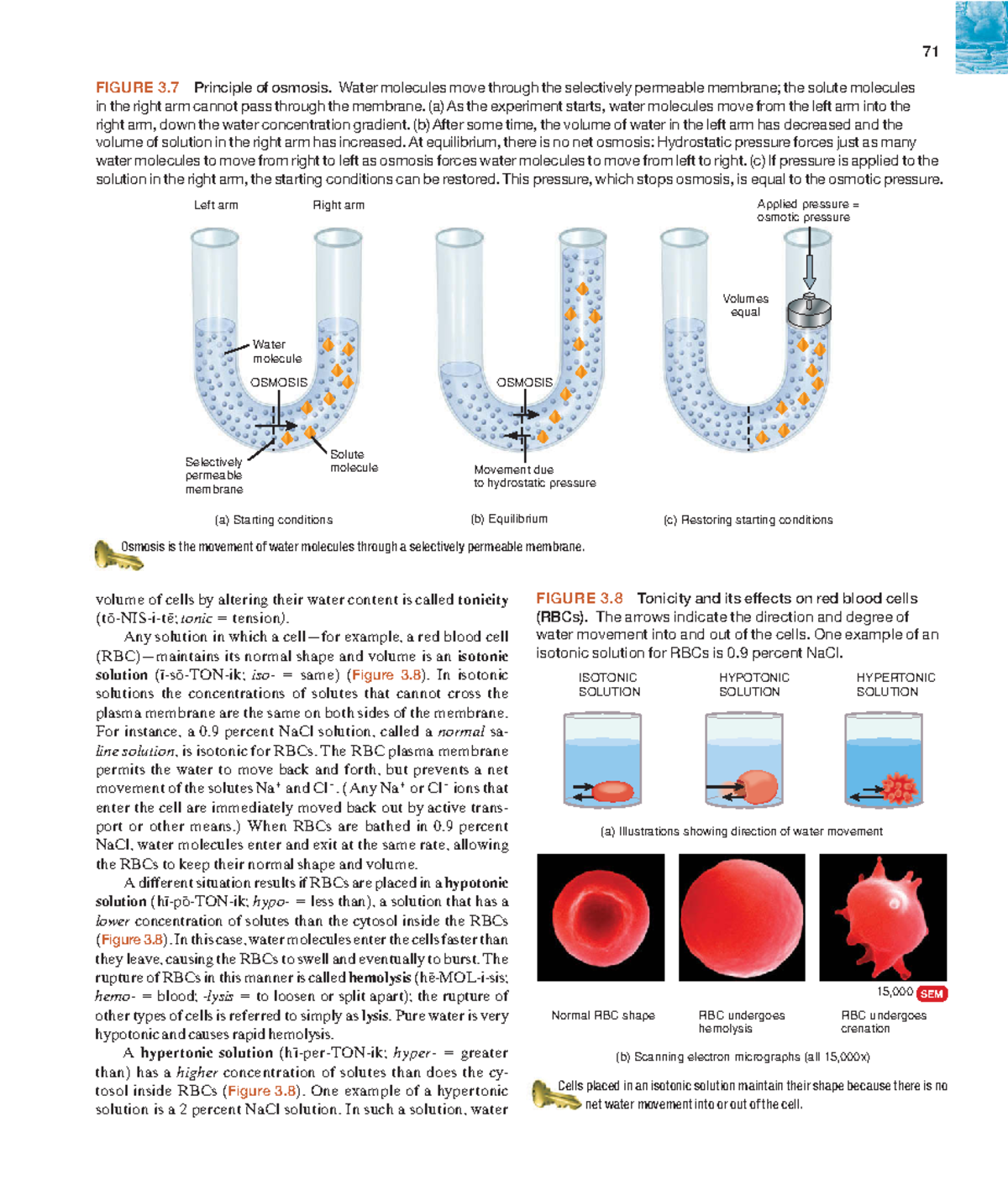 Anatomyandphy-41 - N/A - 71 volume of cells by altering their water ...