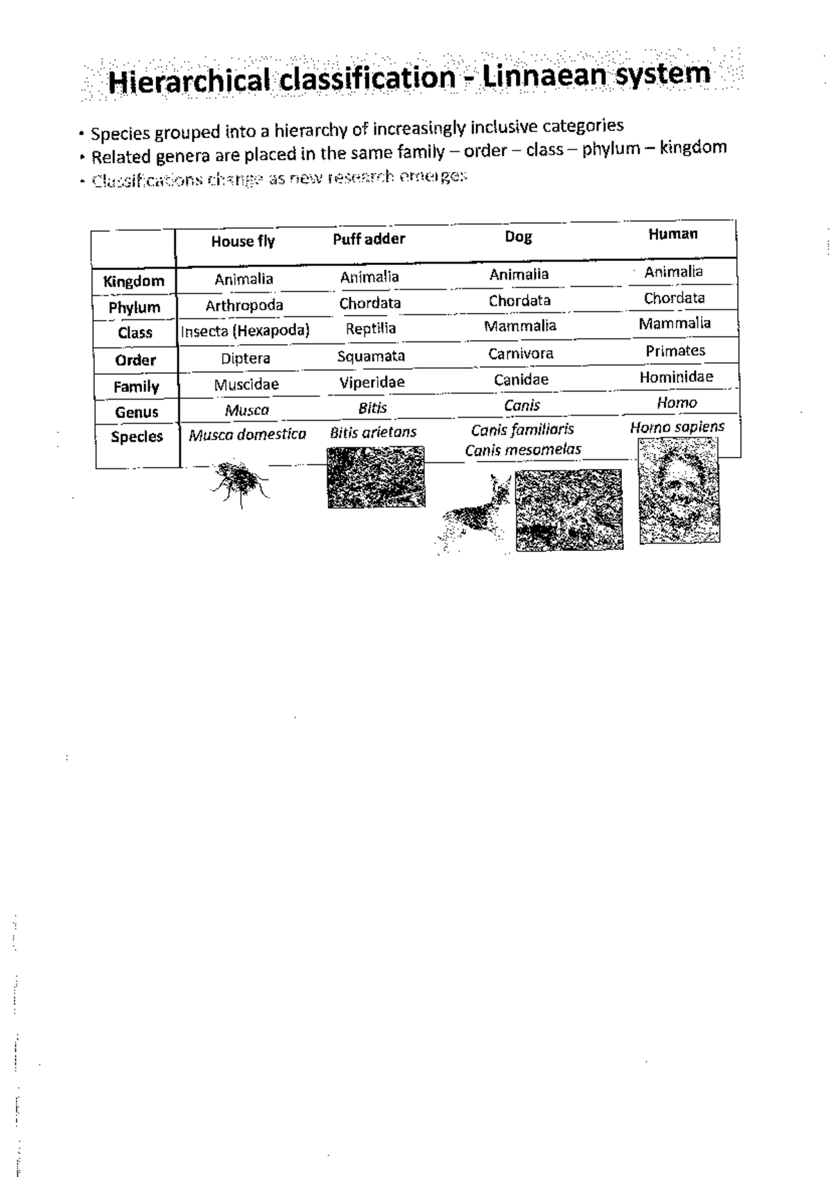20240701082053744 0001 - Hierarchical classification Linnaean system ...