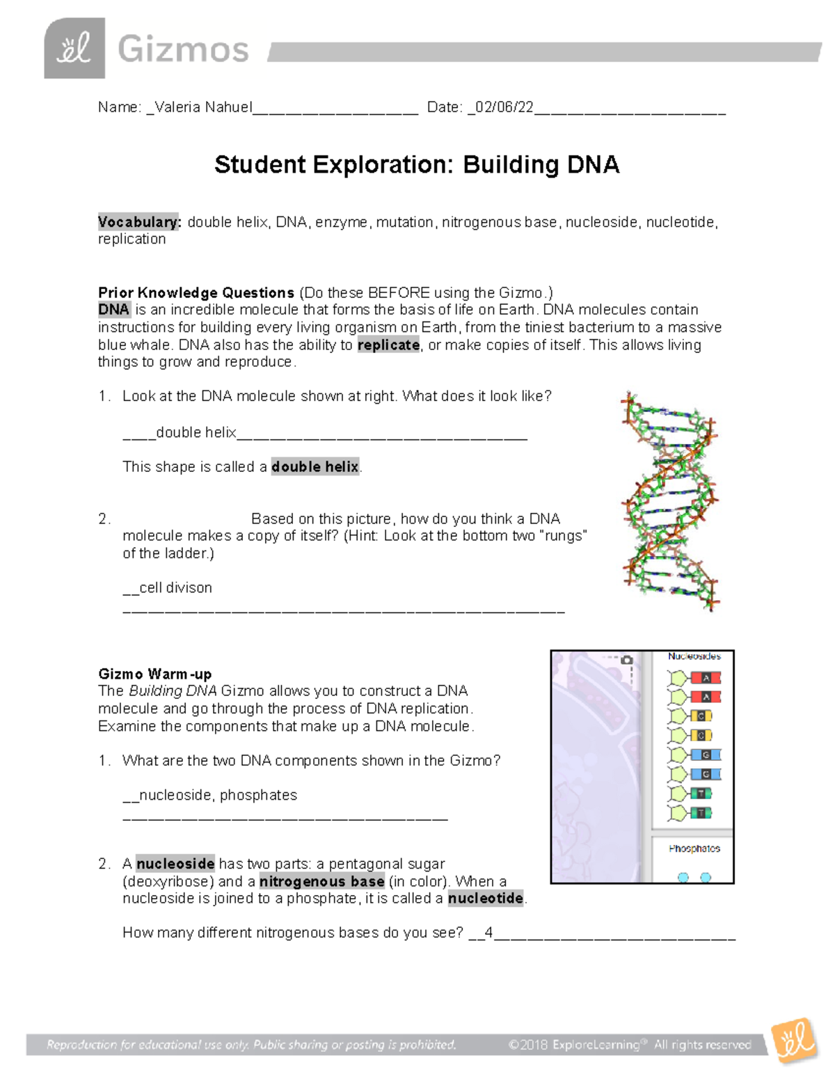 Building Dnase (gizmo) biology homework - Name: Valeria Nahuel ...