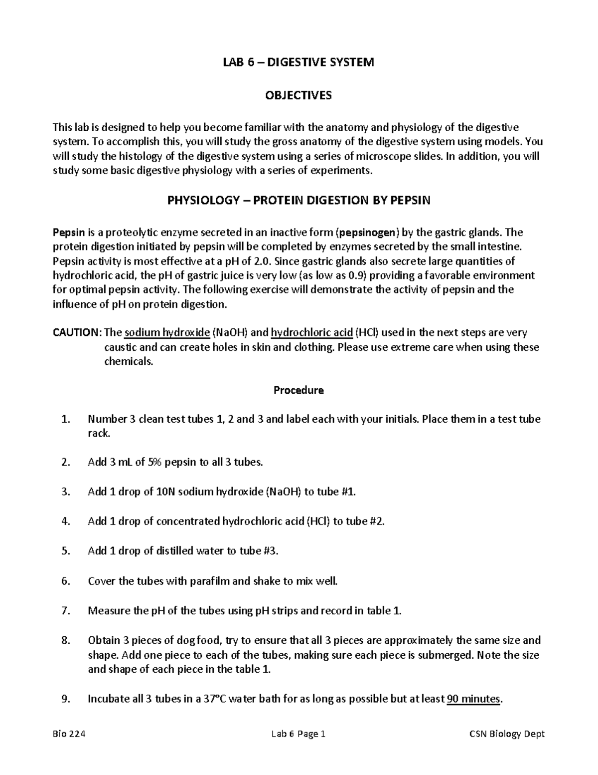 BIO 224 LAB 6 - lab - LAB 6 – DIGESTIVE SYSTEM OBJECTIVES - Studocu