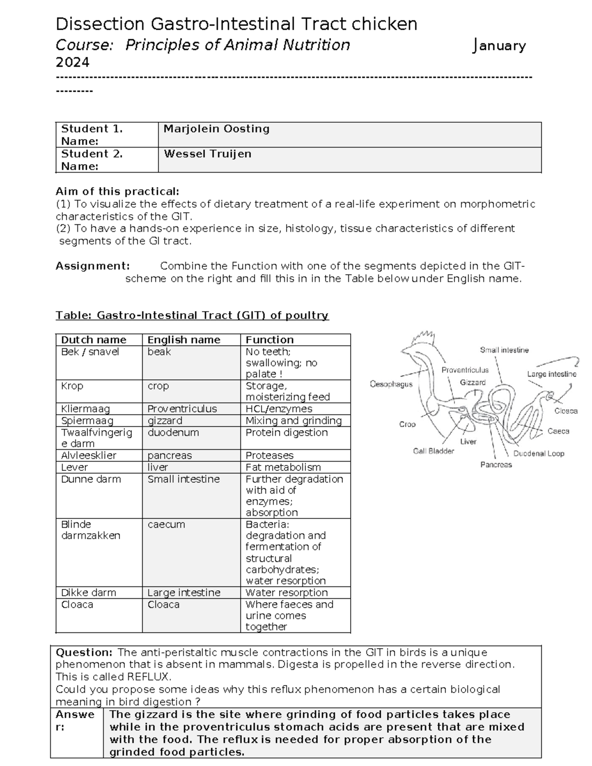 Dissection practical Assignment - 2024 Marjolein, Wessel - Dissection ...