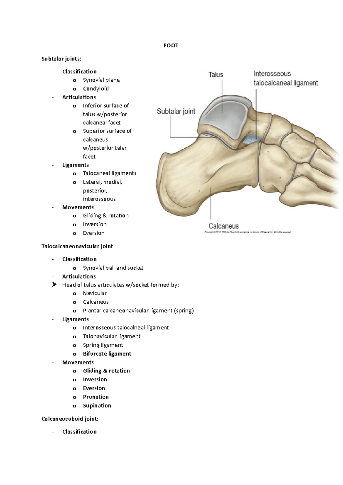 FOOT Bones - FOOT Subtalar joints: Classification o Synovial plane o ...