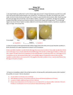 Chapter 5 Study Guide Osbiology - Chapter 5 Study Guide – OpenStax ...