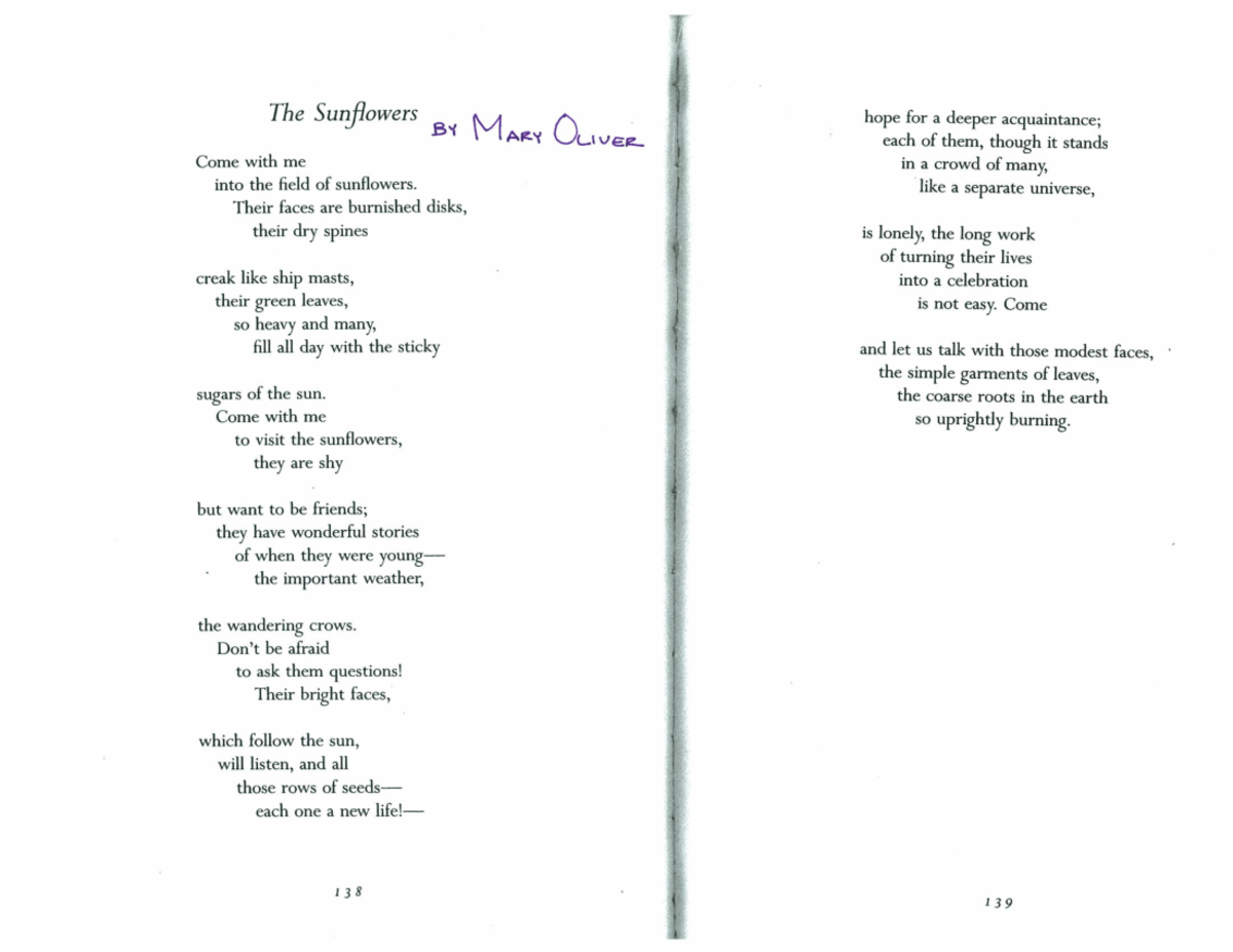 Sunflowers - Poem - Studocu