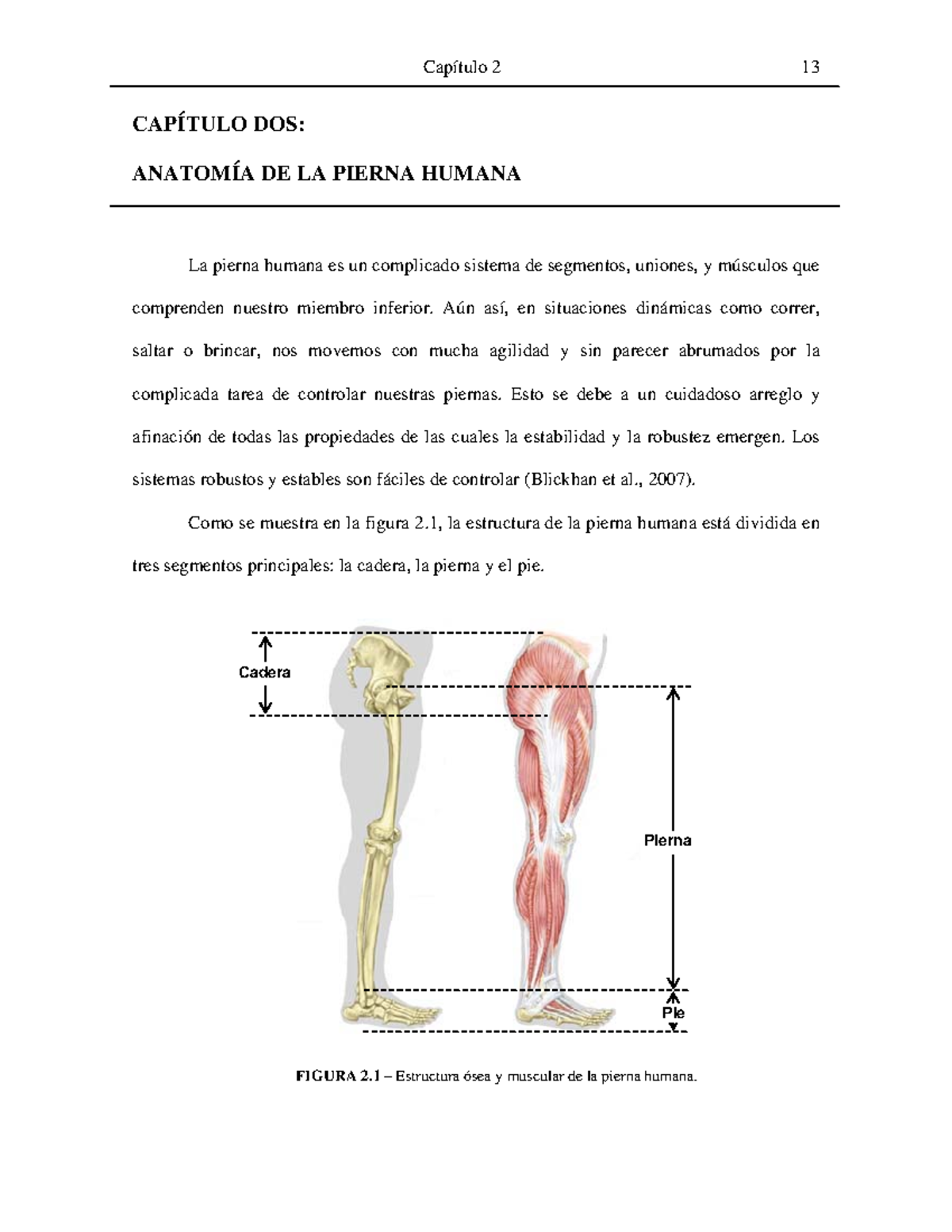 Capitulo 2 - Contenido de la anatomía de la pierna. - Capítulo 2 13 ...