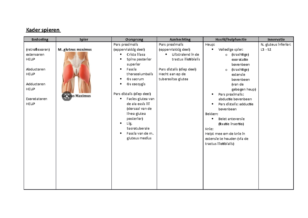 Spieren onderste ledematen - Kader spieren Bedoeling Spier Oorsprong ...