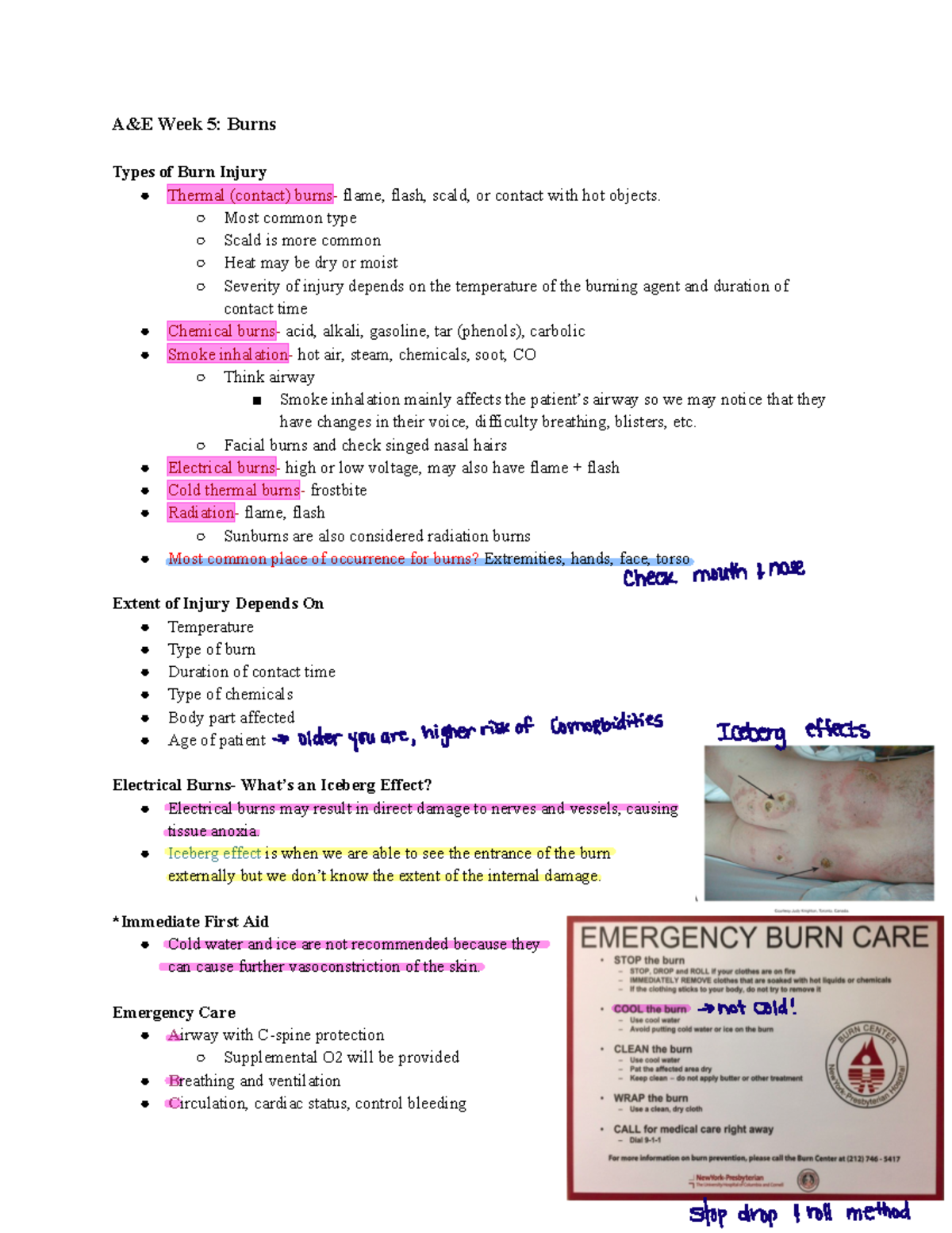 Week 5 Burns - A&E Week 5: Burns Types of Burn Injury Thermal (contact ...