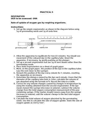 BIOL 0011 Practical 14 Additional - PRACTICAL14: TEST CROSS AND CHI ...