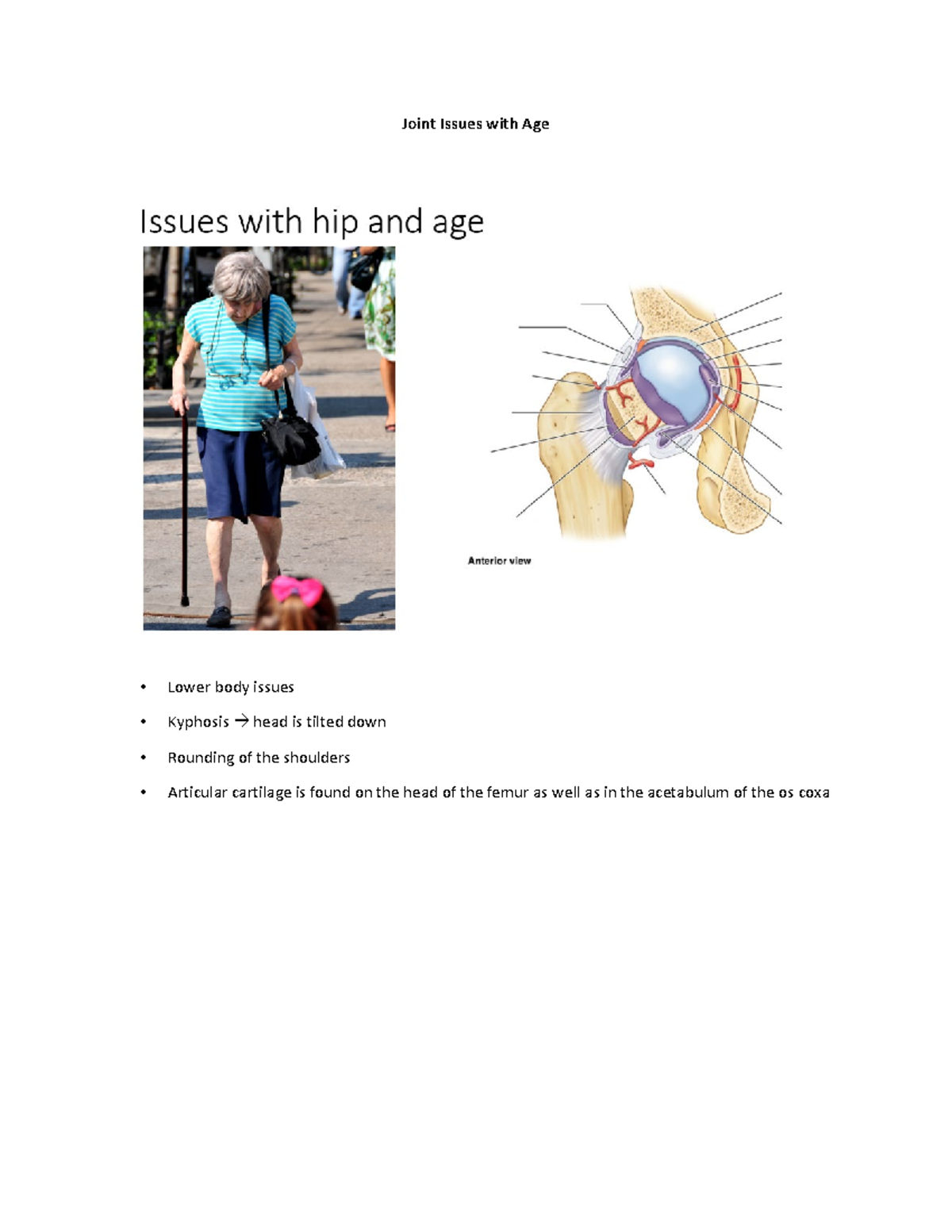 Joint Issues with Age - BIO 2233 Fall 2021 Instructor: Prof. Frank ...
