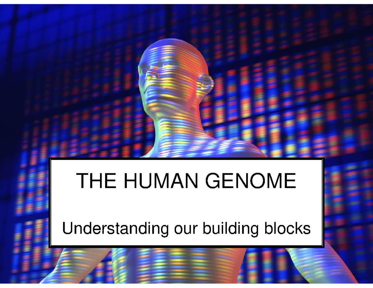 NUTR3360 Module 1 Part 1 - Genetics of Obesity - THE HUMAN GENOME ...
