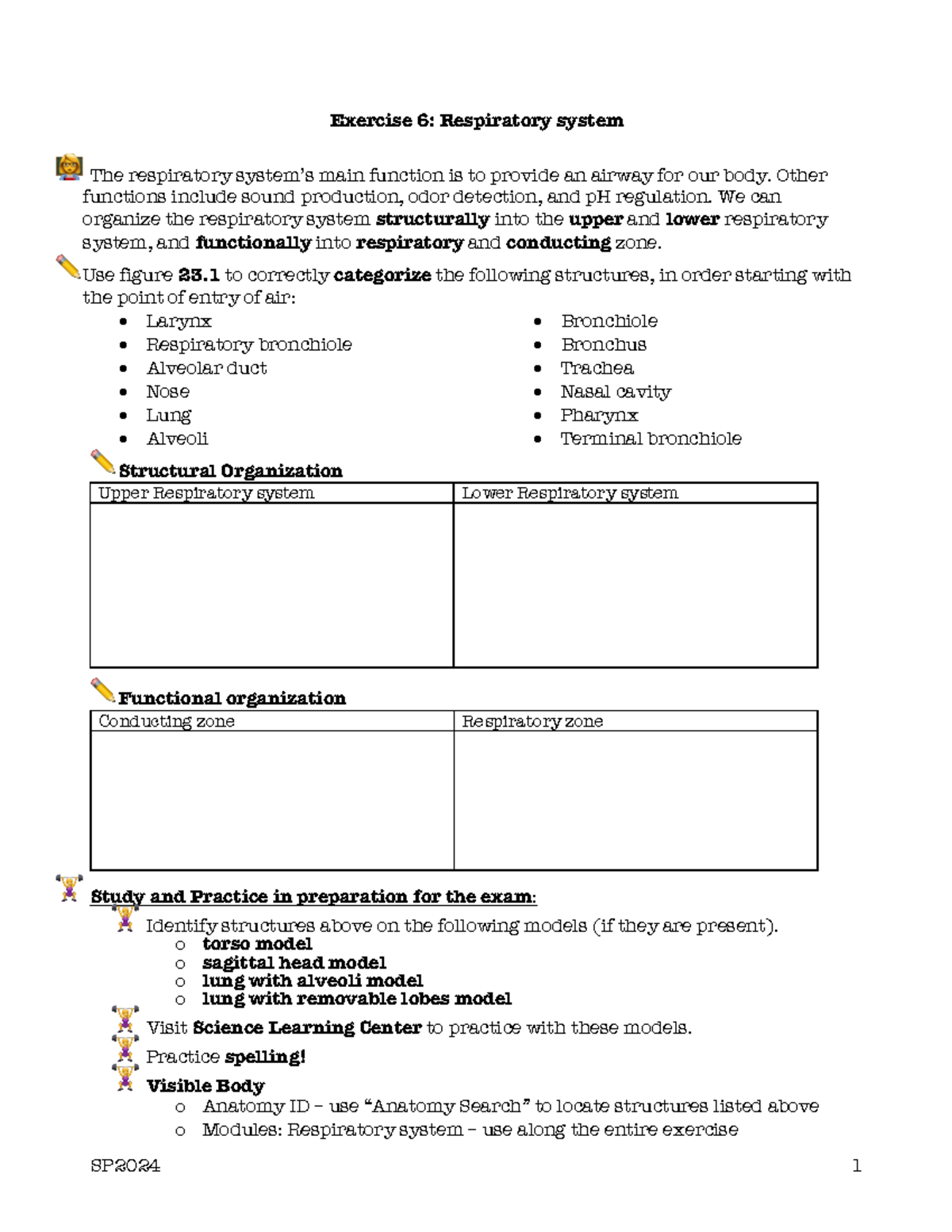 Exercise 6 Spring 2024 - Exercise 6: Respiratory system The respiratory ...