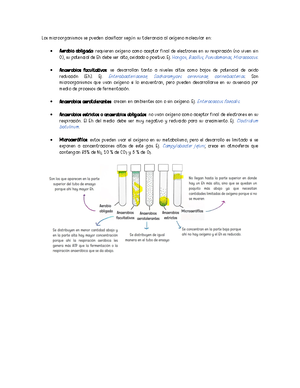 Pirogenos - Pirógenos Un pirógeno es una sustancia que causa fiebre en ...
