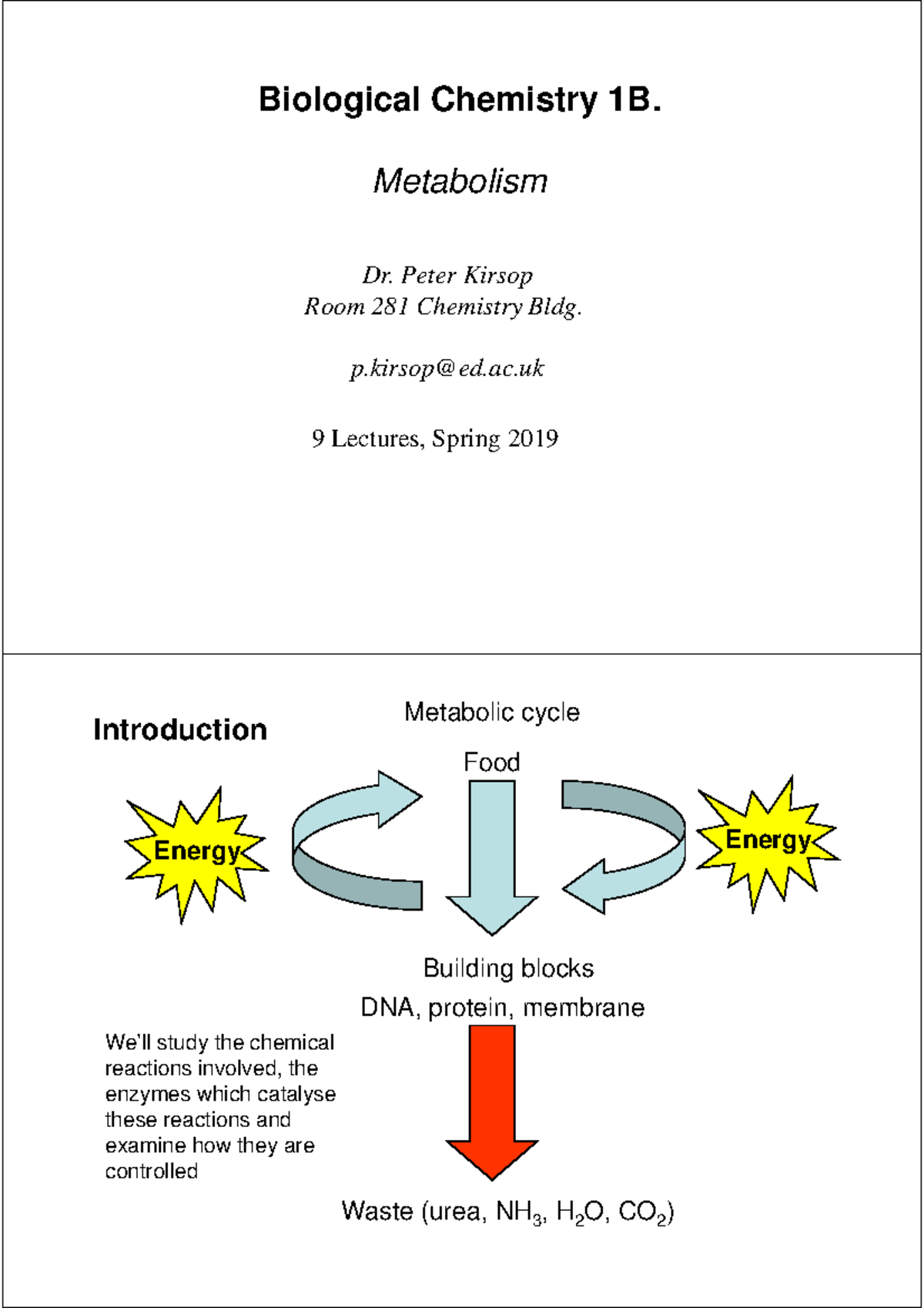 BC1B metabolism student notes 2019 - Biological Chemistry 1B ...
