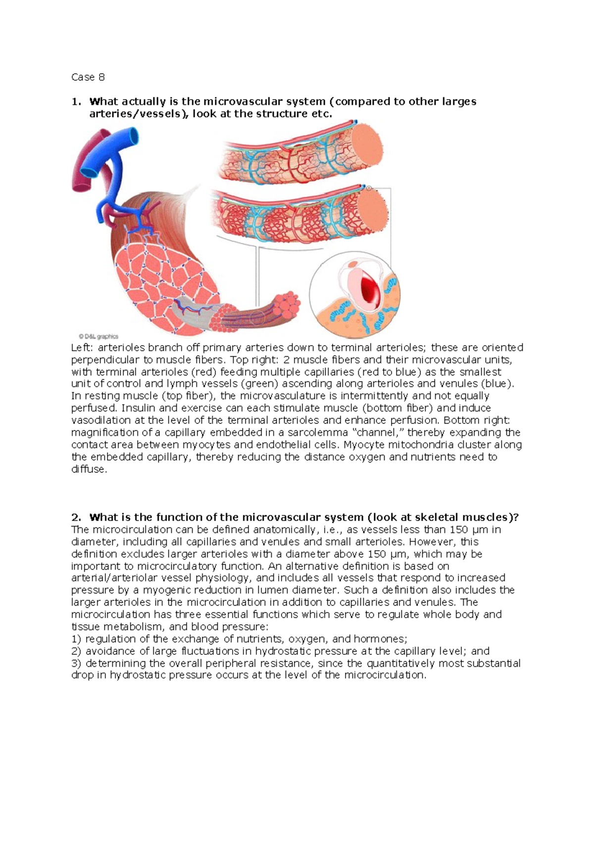 Onderwijsgroep 8 - Case 8 What actually is the microvascular system ...