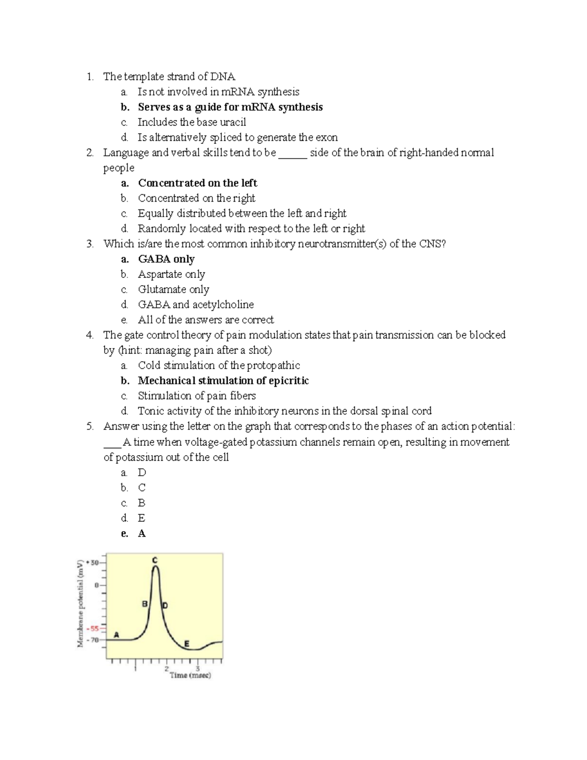 Microbiology Multiple Choice Quiz #4 - The template strand of DNA a. Is ...