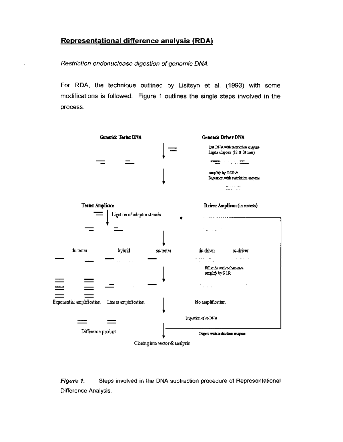 Representational Difference Analysis - Cell biology - Studocu