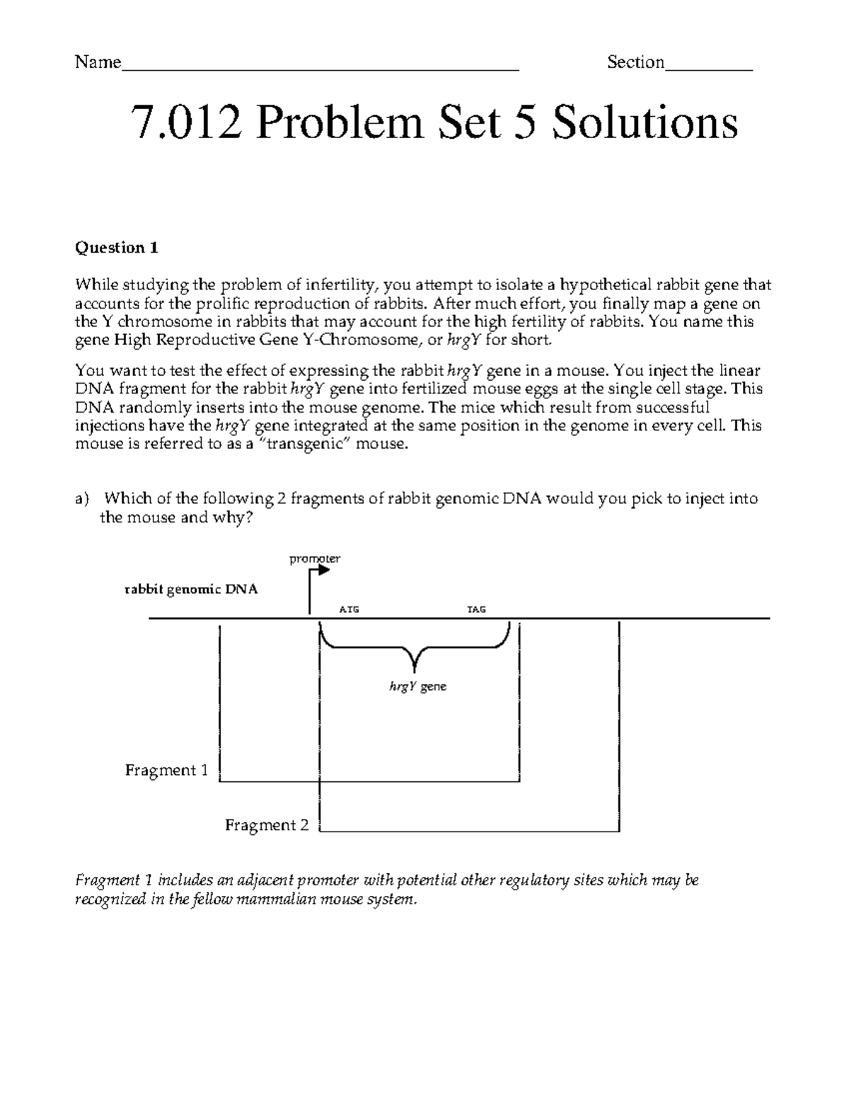 Solution to Problem Set 5 - Name ...