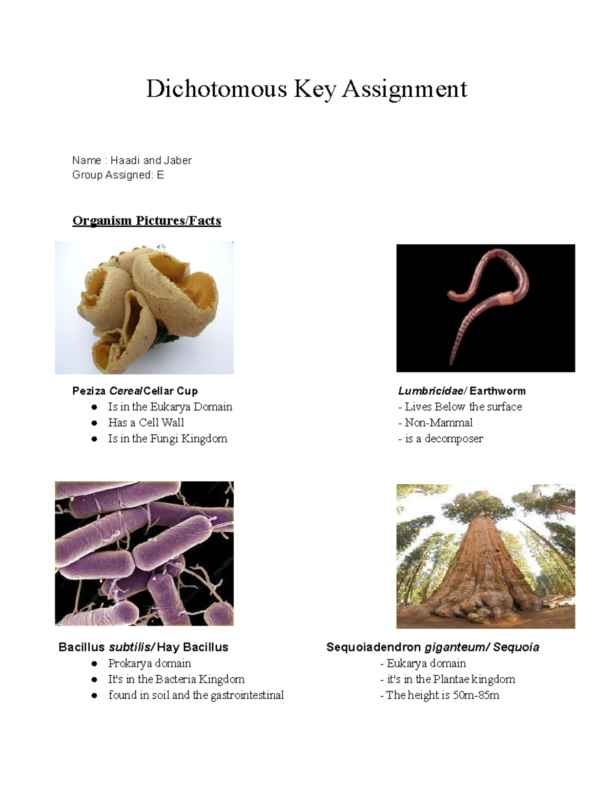 Dichotomous Key assignment - Dichotomous Key Assignment Name : Haadi ...