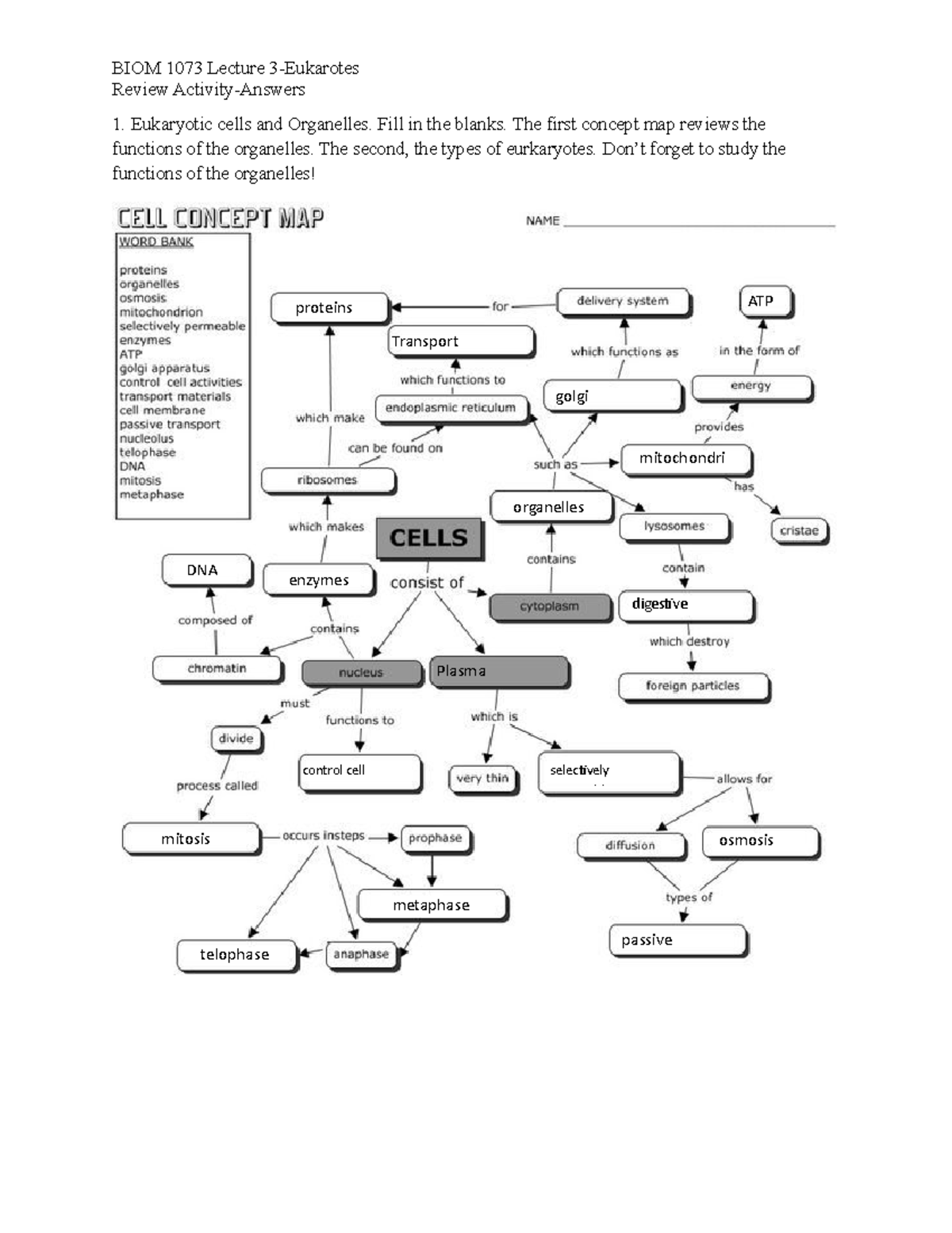 BIOM 1073 Lecture 3-Review Answers - Review Activity-Answers Eukaryotic ...