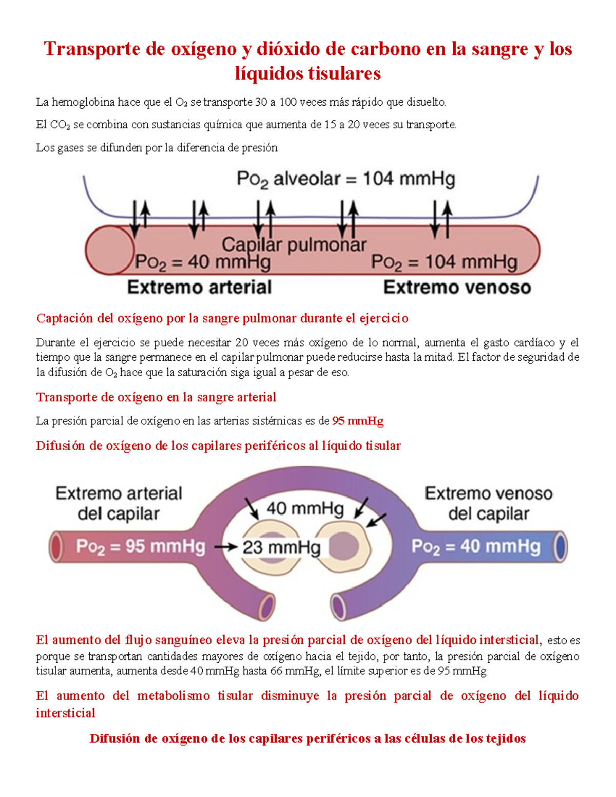 Transporte de oxígeno y dióxido de carbono en la sangre y los líquidos ...
