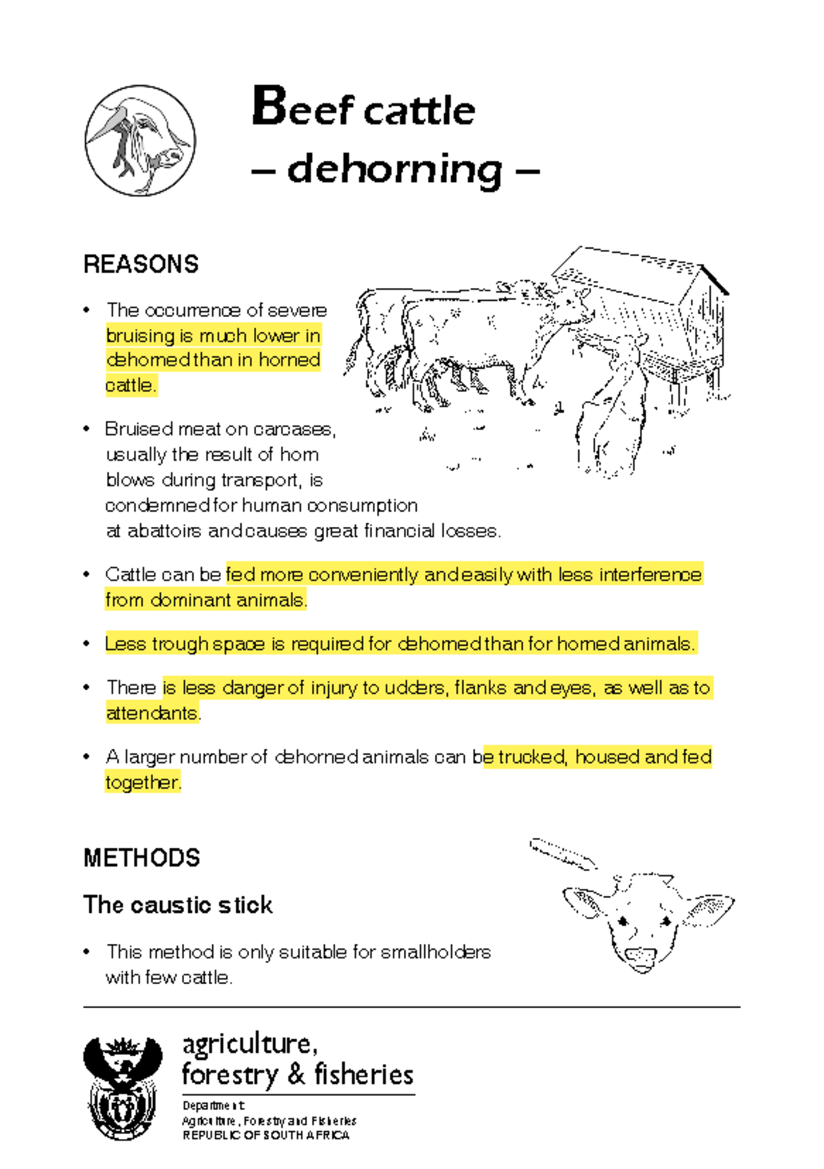 Beef dehorn 2006 - Beef cattle – dehorning – Reasons • The occurrence ...
