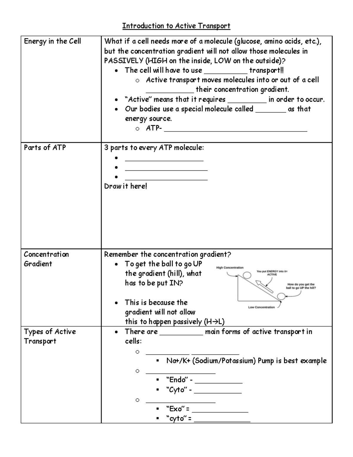 Intro to active transport notes - Introduction to Active Transport ...